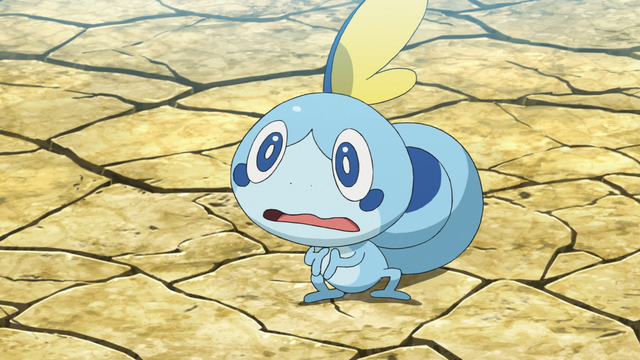 The Cutest Water Pokémon, Ranked