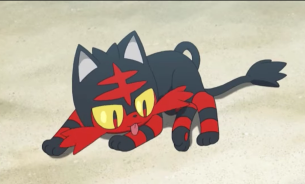 The Cutest Fire Type Pokémon, Ranked