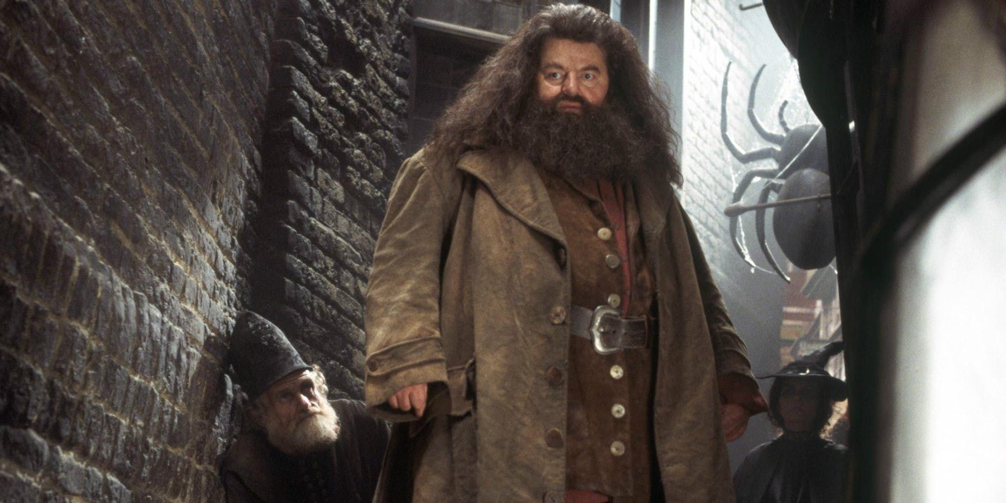 Why Is Hagrid Not Allowed To Do Magic?