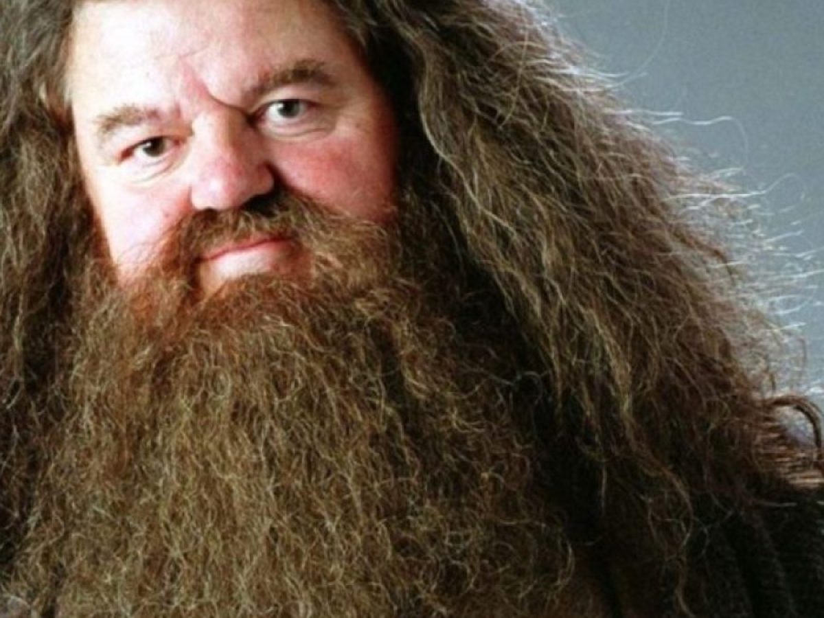 Why Is Hagrid Not Allowed To Do Magic?