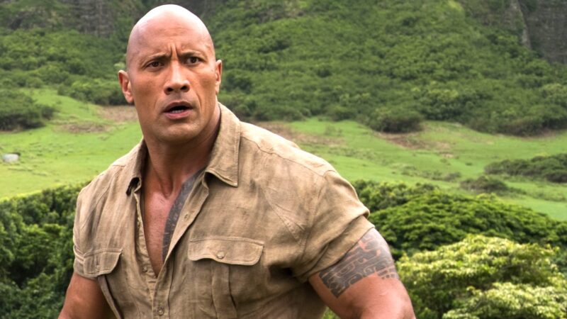 Welcome to The Rock's Jungle Movies Ranking