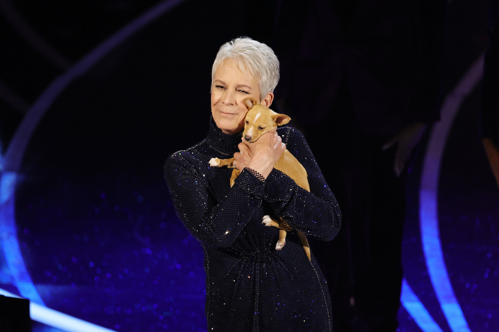 Jamie Lee Curtis Plugs Animal Adoption to Honor Betty White at Oscars