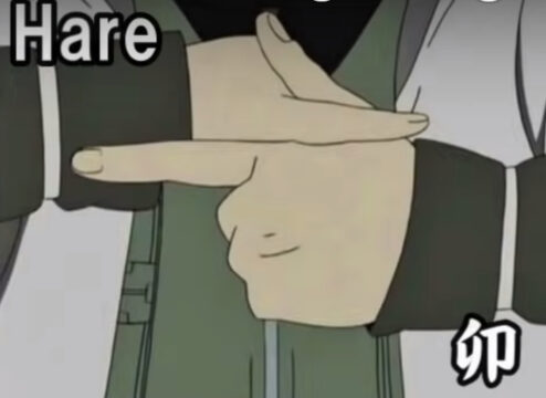All 12 Basic ‘Naruto’ Hand Signs and What They Mean