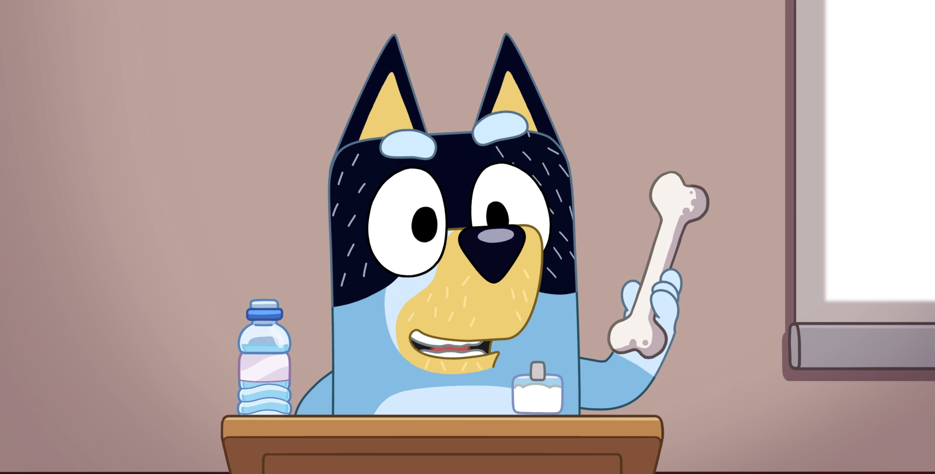 Top 10 'Bluey' Episodes