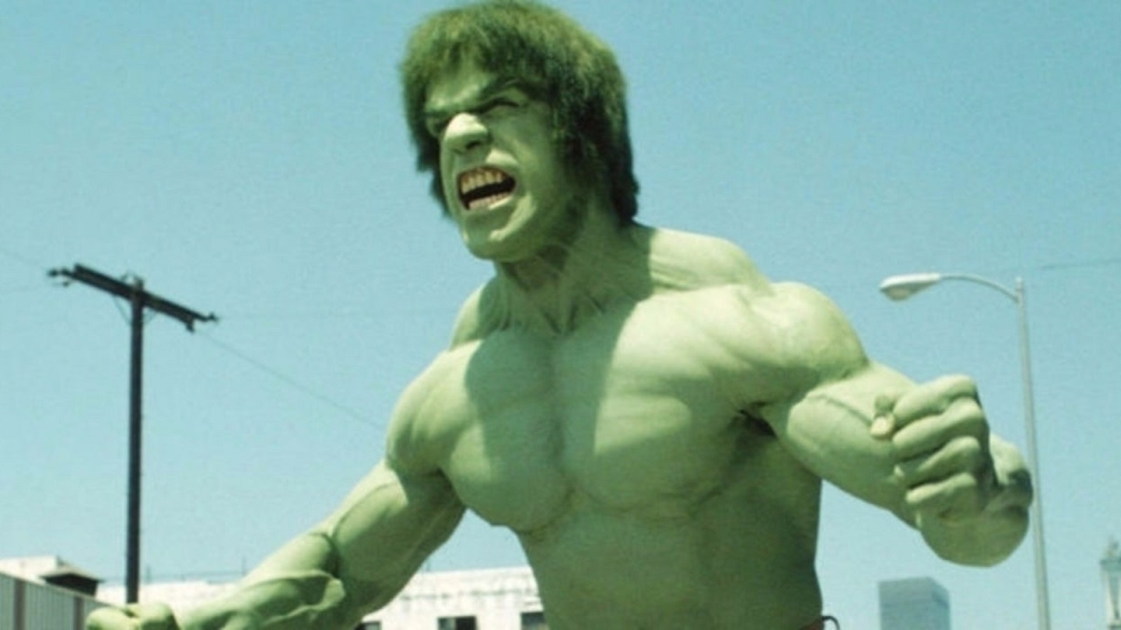 Lou Ferrigno Still Wishes the Hulk Was Played by a Dude Painted Green