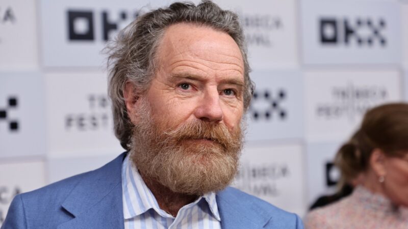 A Bearded Bryan Cranston Gets Hit With Ball & Fan Love Playing Softball