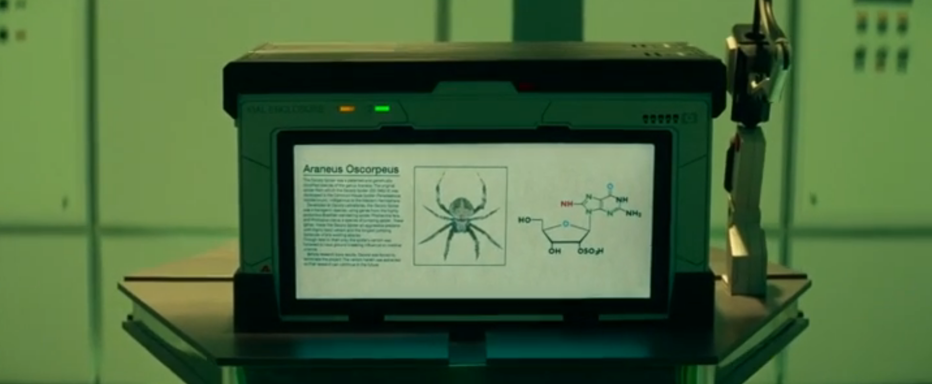 What Kind of Spider Bit Peter Parker, and Where Can It Be Found?