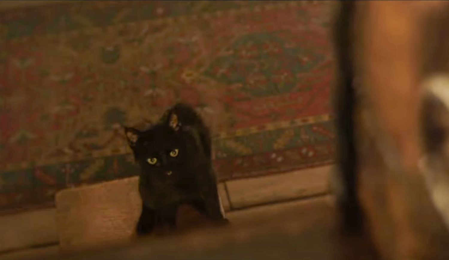 How Could Thackery Binx Possibly Be Back in ‘Hocus Pocus 2?’
