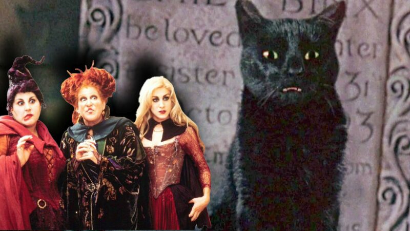 Missing Thackery Binx? Here’s The Best Talking Cats From Movies and TV