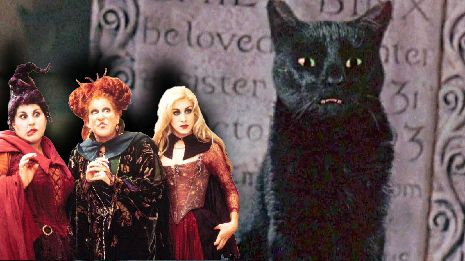 Missing Thackery Binx? Here’s The Best Talking Cats From Movies and TV