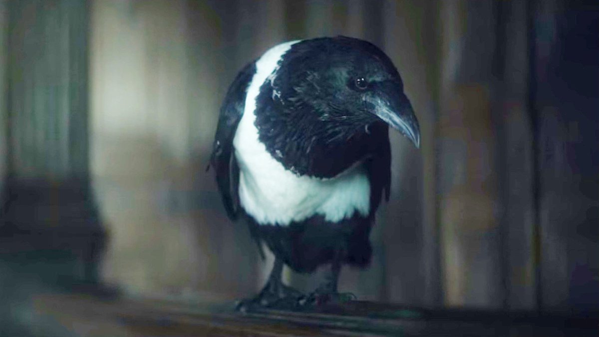 'The Sandman' Matthew and Jessamy Plothole, Explained