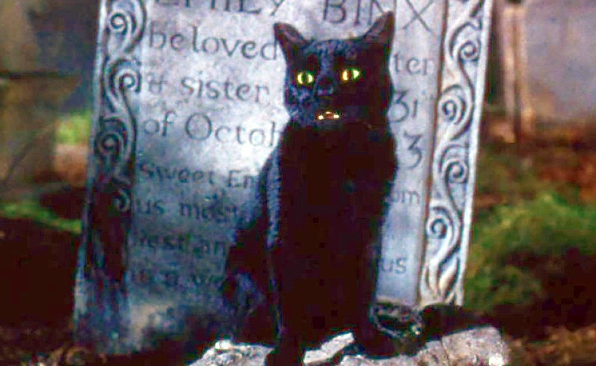 How Could Thackery Binx Possibly Be Back in ‘Hocus Pocus 2?’
