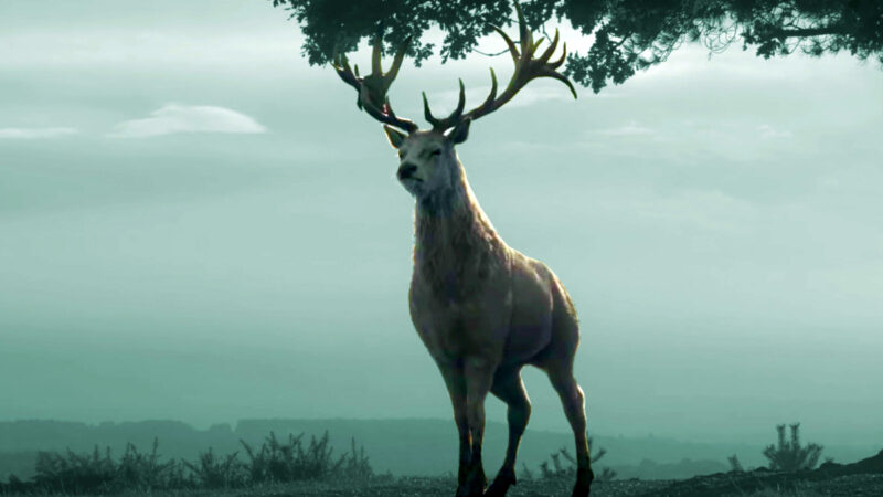 'House of the Dragon' Episode Three: What Does the White Hart Symbolize?