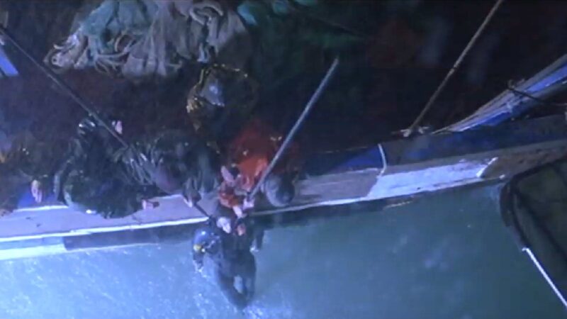 Streaming Fans Drag a Hugely Influential Blockbuster up From the Depths