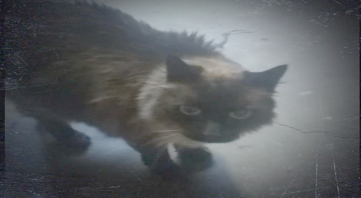 5 Episodes of Lifetime's 'Phrogging: Hider In My House' That Hit Too ...