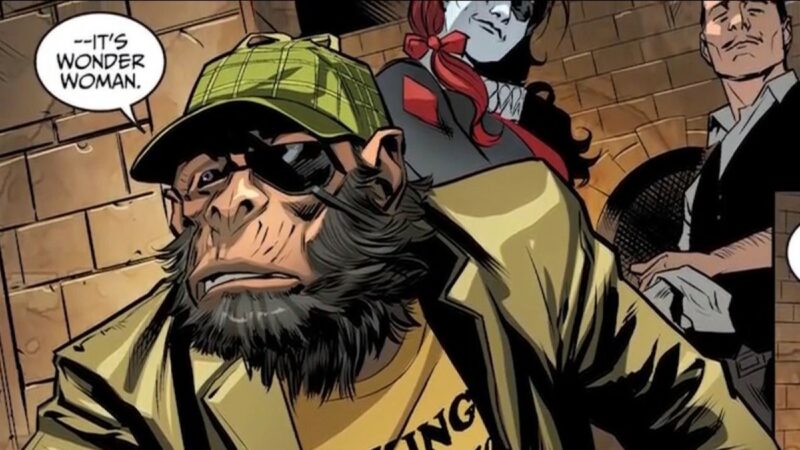 The 10 Obscure Characters Warner Bros. Needs in the DCEU