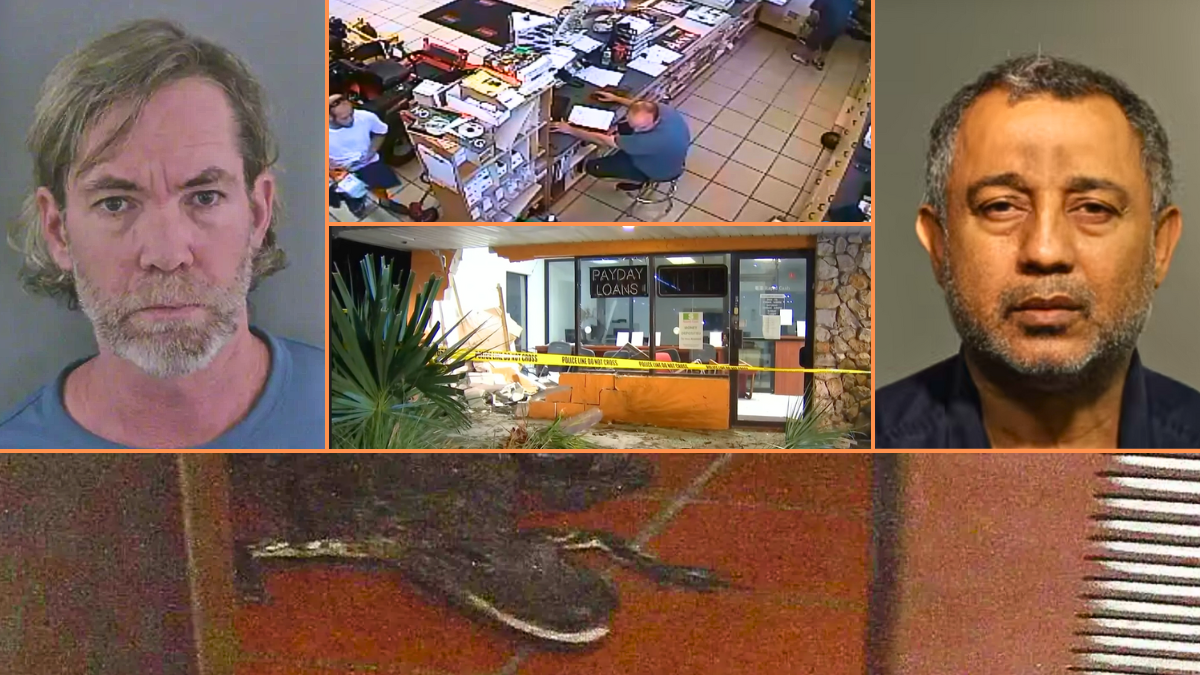 The 12 Best 'Florida Man' Headlines