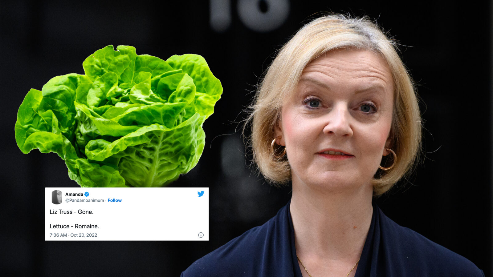Lettuce Regale You With the Very Best Liz Truss Memes