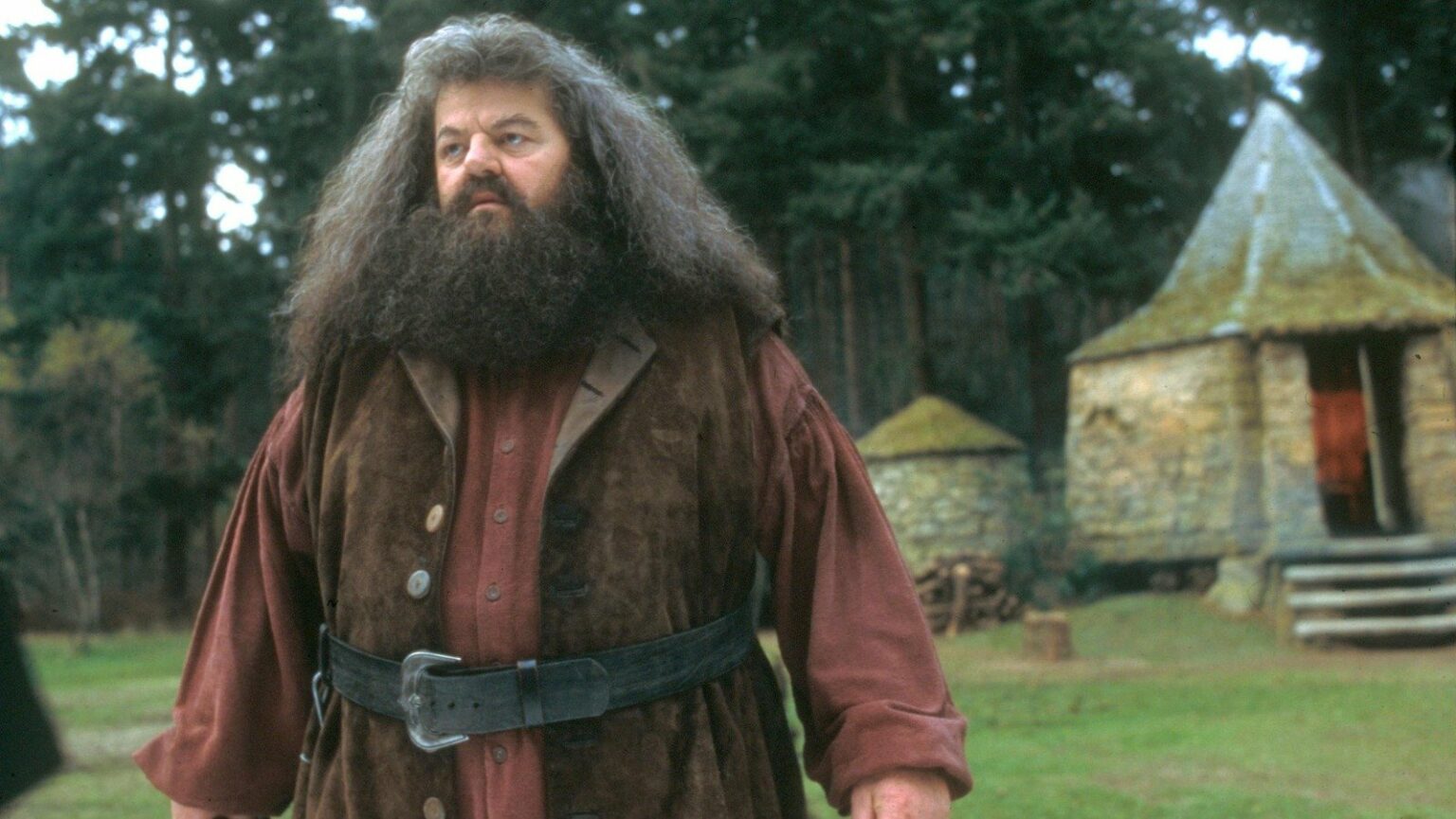 Robbie Coltrane’s Best Movie and TV Roles