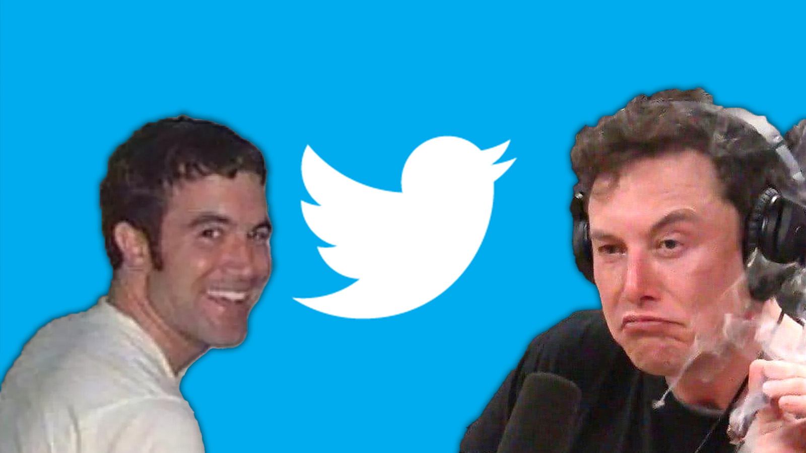 Panicked Netizens Can’t Stop Talking About Myspace, Thanks To Elon Musk ...