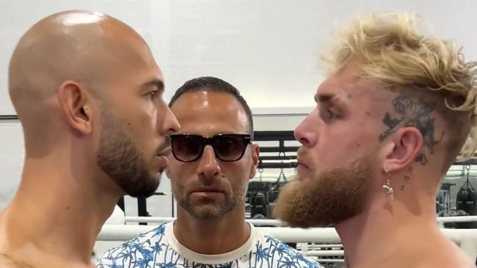 Jake Paul and Andrew Tate Tease Potential Influencer Boxing Match