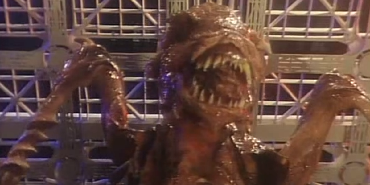 The 10 Best Episodes of ‘Red Dwarf’ and Where to Watch Them