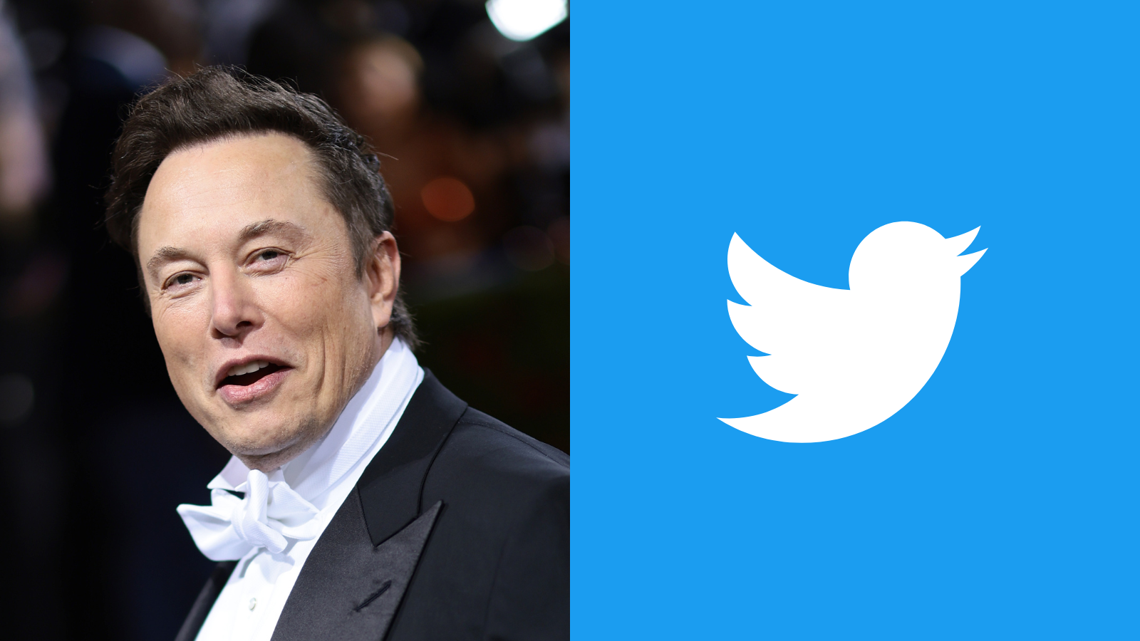 Celebrities who have vowed to leave Twitter now that Elon Musk is in charge