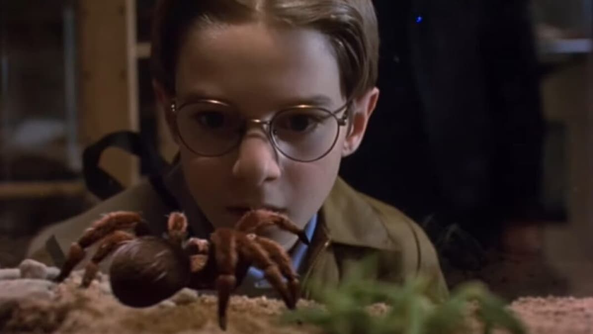 Kill It With Fire: The Most Skin-Crawling Spider Movies Ever Made