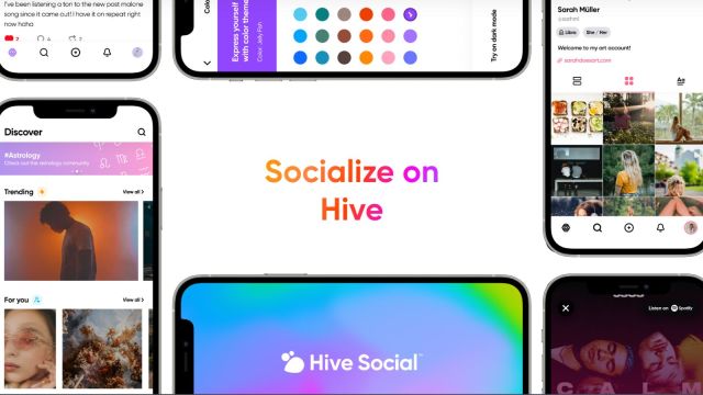 Hive’s Servers Temporarily Shuts Down Due to Security Concerns