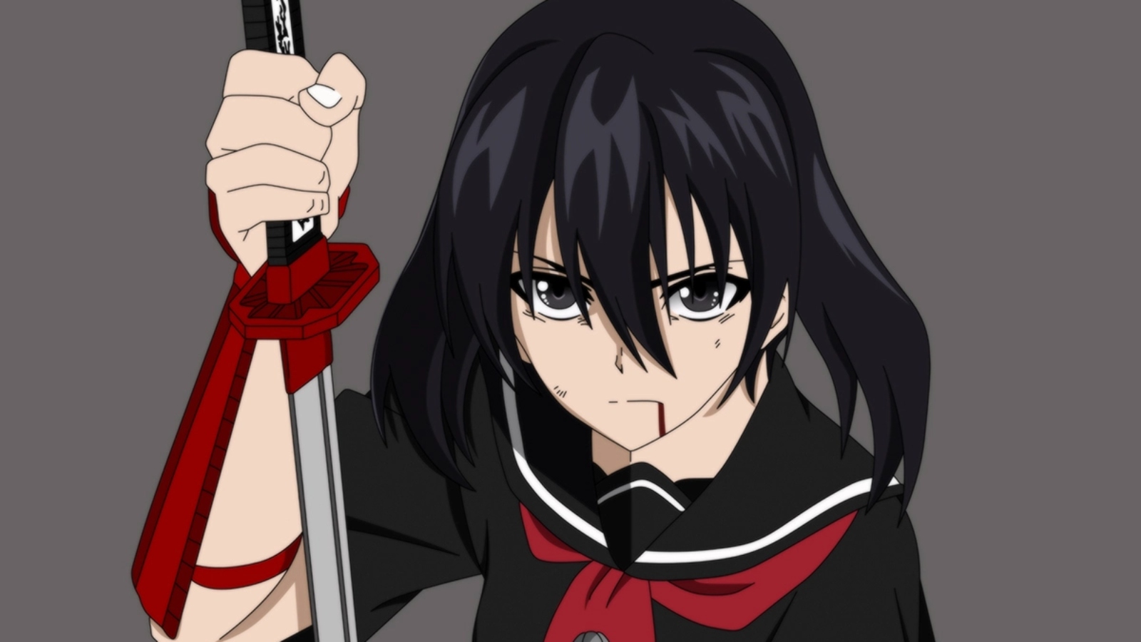 The 10 Best 'Akame ga Kill' Characters, Ranked