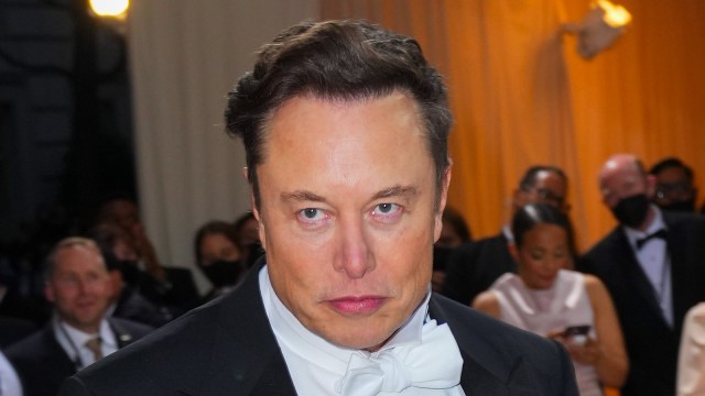 Someone Finally Points Out an Obvious Flaw in Elon Musk’s Pronoun Argument