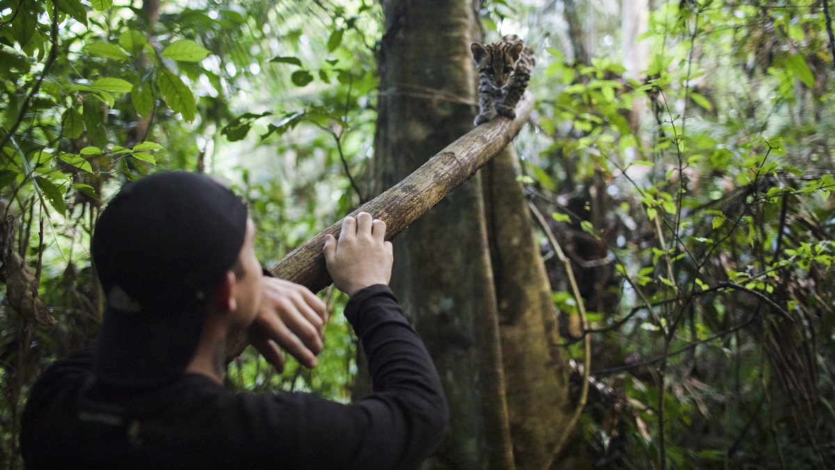 Exclusive: Directors Trevor Frost and Melissa Lesh and Talk ‘Wildcat'