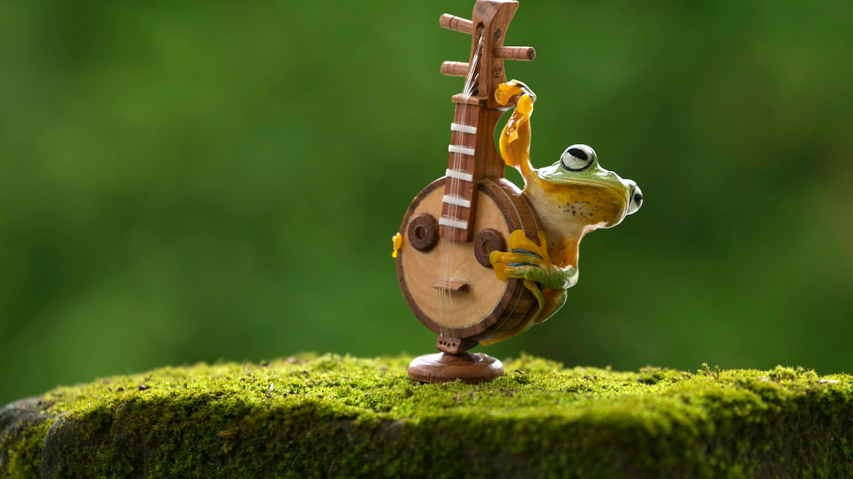 25 Best Frog Puns