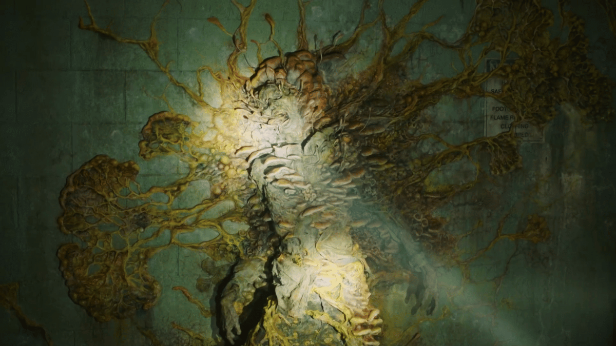 What Is Cordyceps in HBO’s ‘The Last of Us’?