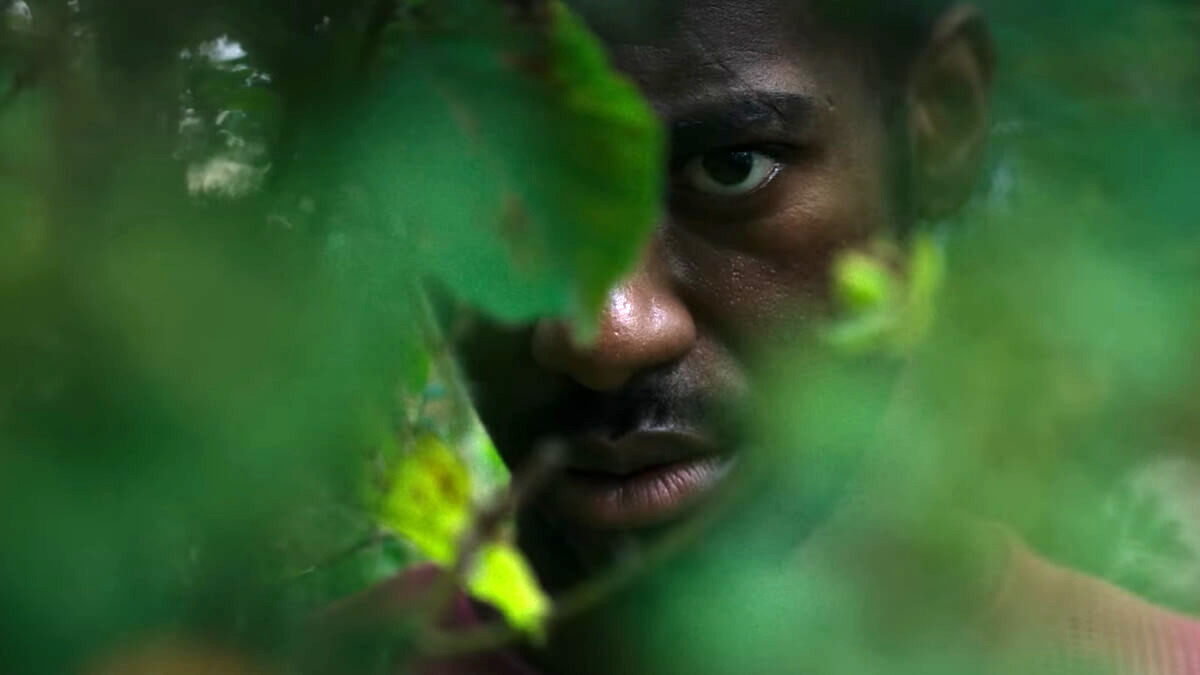 Netflix's 'The Strays' Ending, Explained