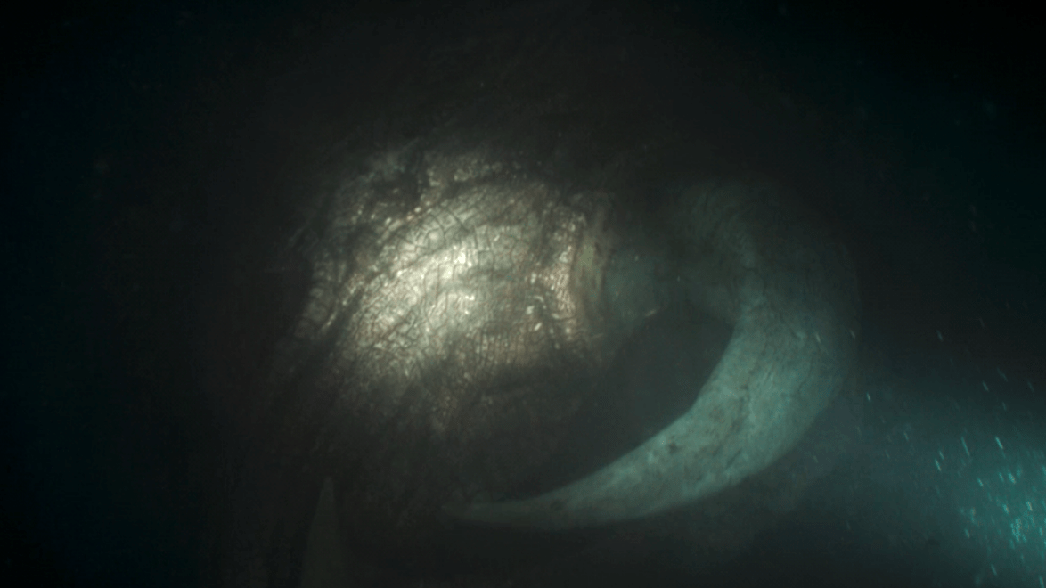 What Creature Is in the Living Waters Beneath the Mines of Mandalore in ...