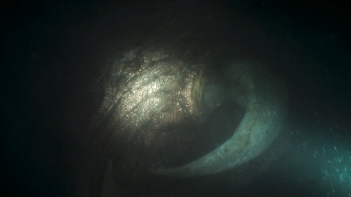 What Creature Is in the Living Waters Beneath the Mines of Mandalore in ...