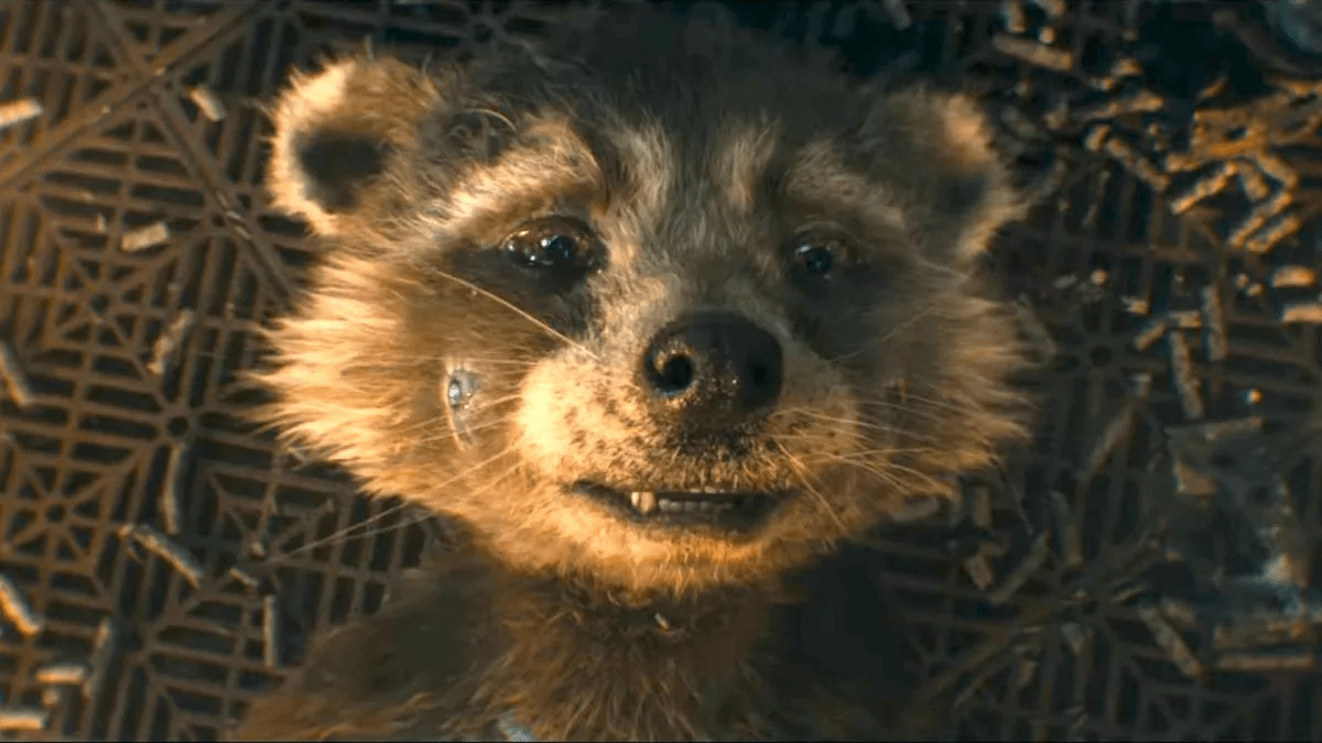 Hilarious Mashup Makes Rocket the Most Powerful Guardian of the Galaxy