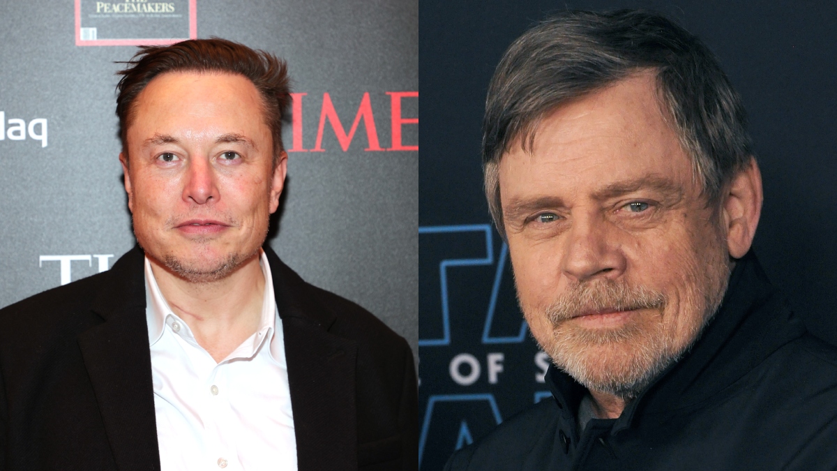 Mark Hamill Pre-Approves a Pressing Question All of Twitter Wants Elon ...