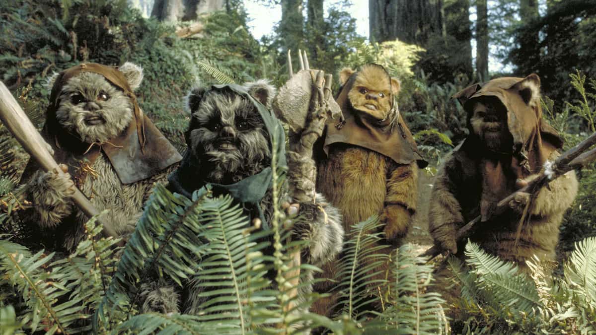 All Ewok names in ‘Star Wars'