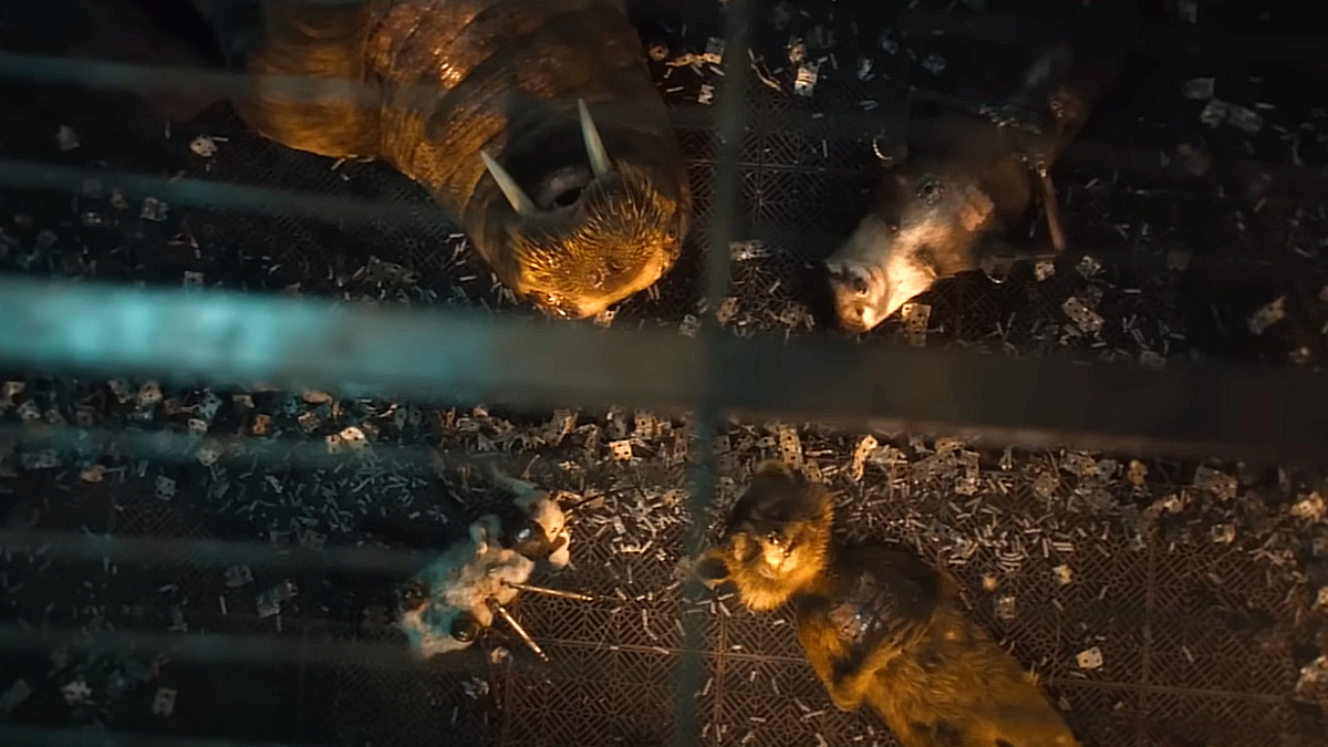 James Gunn Reveals How Rocket, Lylla, Floor, and Teefs Came to Life