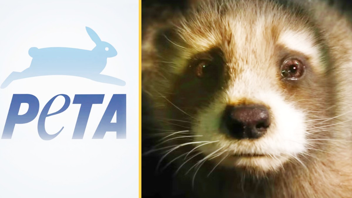 PETA Critically Reviewing ‘Guardians of the Galaxy Vol. 3’ Is the Last ...