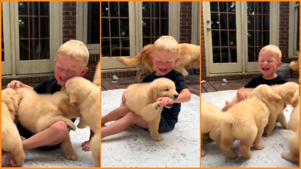 ‘That Laugh ⏤ the Best Medicine Ever’: Cackling Child Narrowly Escapes ...