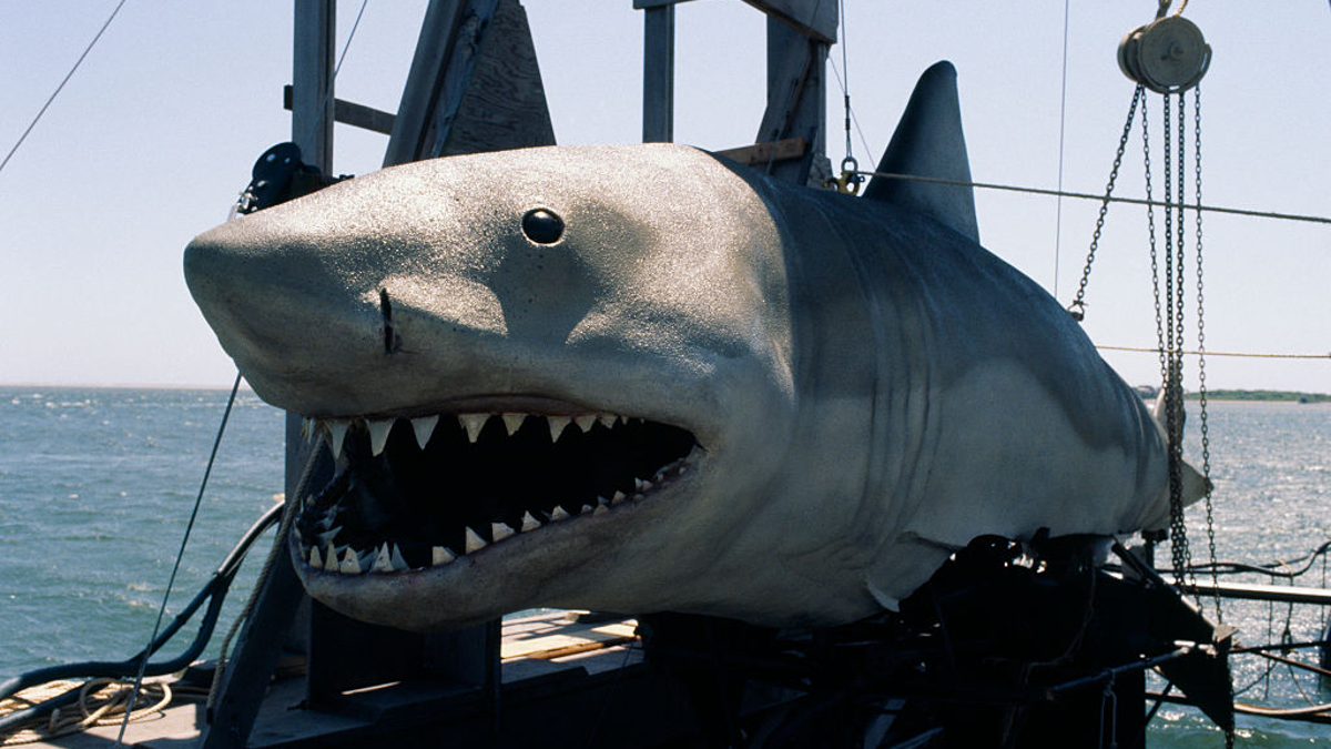 The 'Jaws 2' Cast Now, Plus Their Most Famous Roles