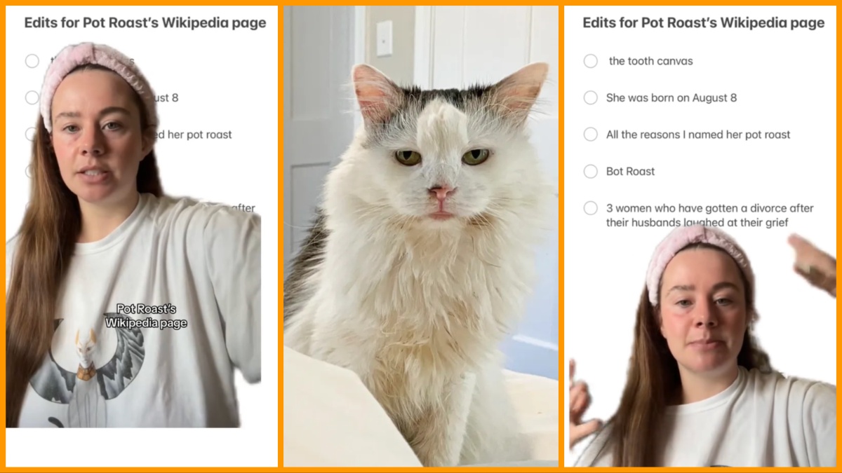 ‘They Are Now Divorced’: Pot Roast the Cat’s Mom Shares How the Famous ...