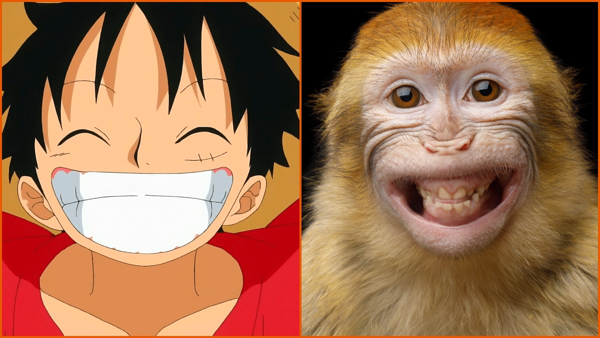 Every Straw Hat’s Spirit Animal in ‘One Piece’