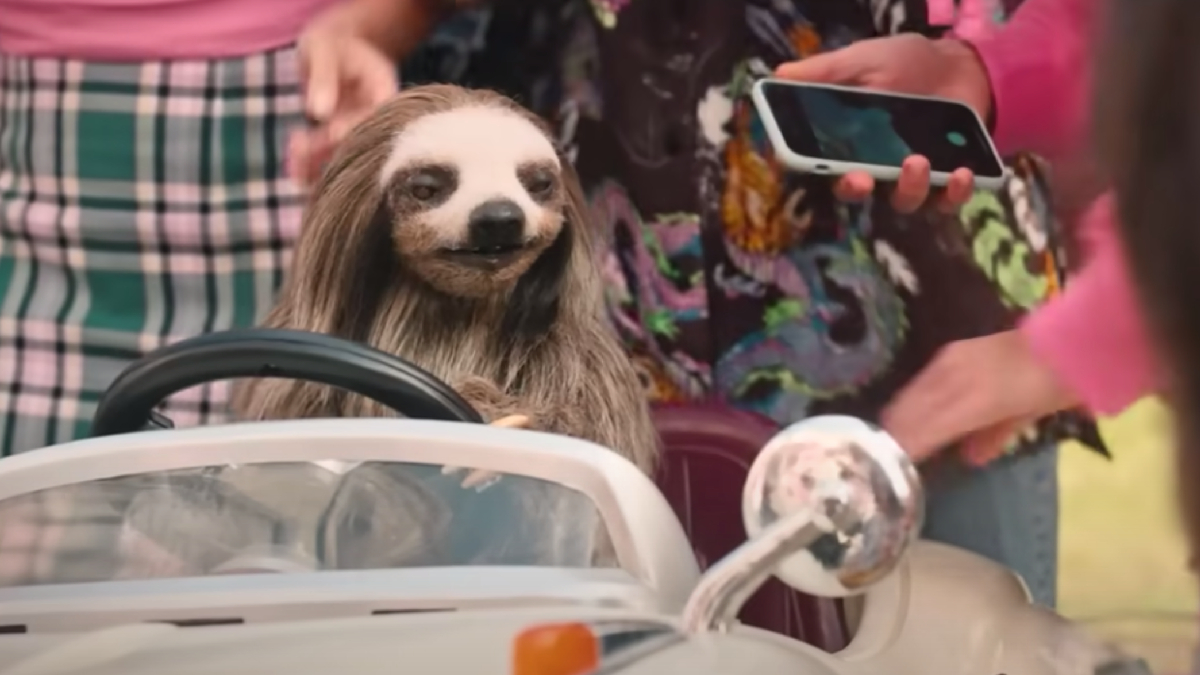 ‘Slotherhouse’ Release Date, Cast, and More for the Killer Sloth Movie