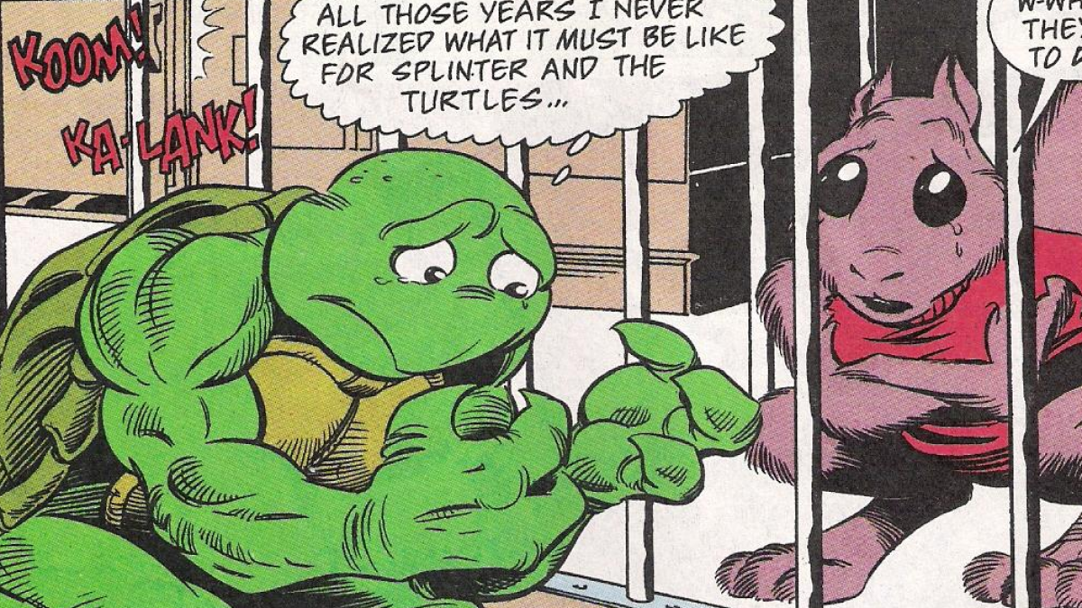 'Teenage Mutant Ninja Turtles': Every 5th Turtle, Explained