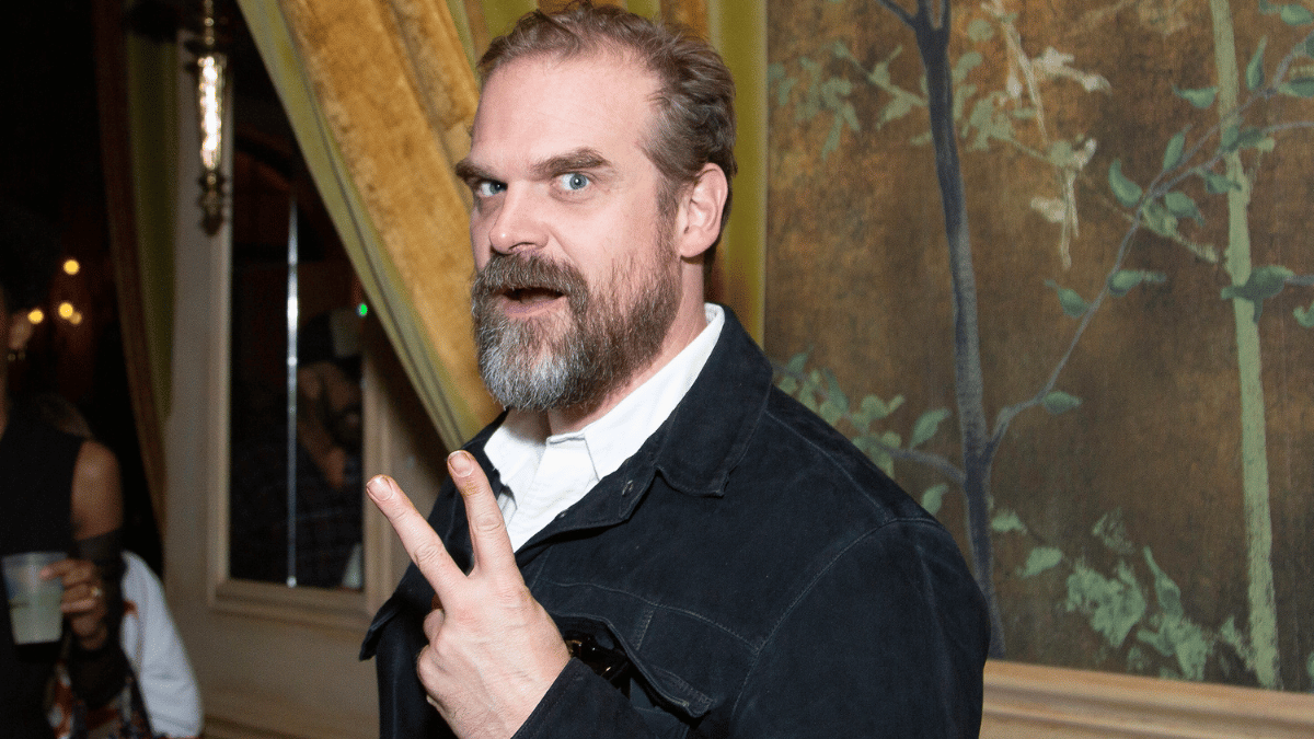 ‘I’ll Try to Free up Some Time’: David Harbour Already Open to a Decade ...