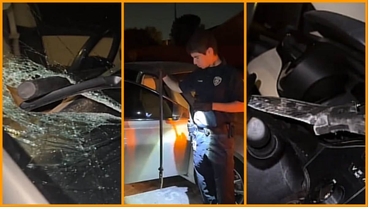 ‘How Do You Explain This to Insurance?’: Driver Narrowly Avoids Death ...